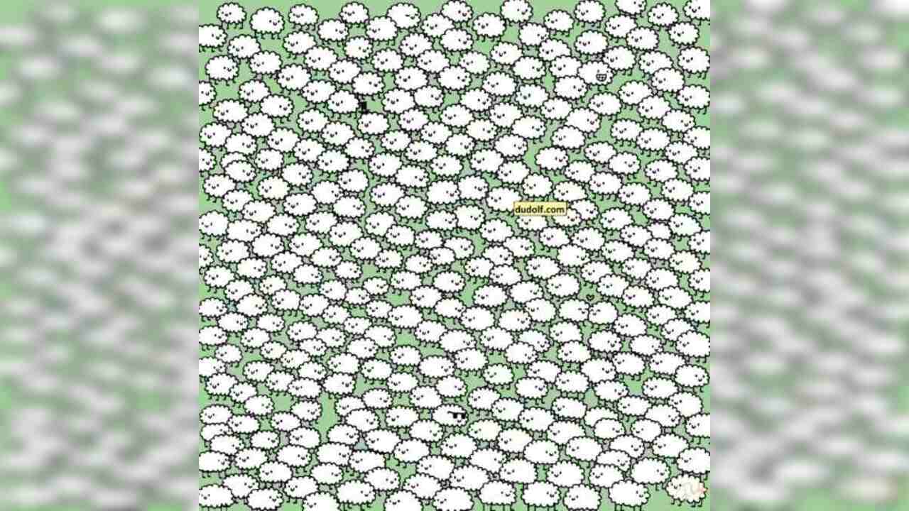 Optical Illusion Puzzle: Only the Sharpest Eyes Spot Three Hidden ...