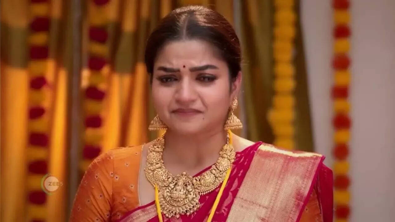 anna serial update shanmugam did some good things to bharani zee tamil ...