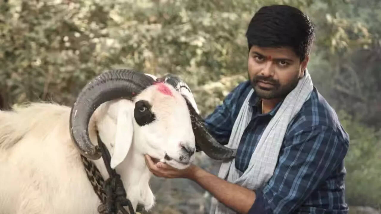 Tagaru Palya Movie Review: A Cringe-Worthy Affair And Regrettably ...