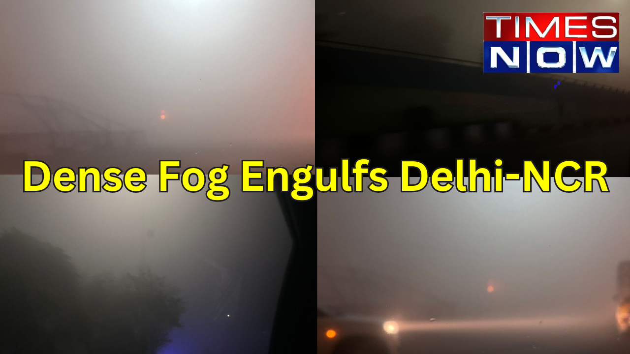 Delhi Weather: Visibility Zero! Dense Fog Shrouds Delhi-NCR, Making Commute Difficult| WATCH ...