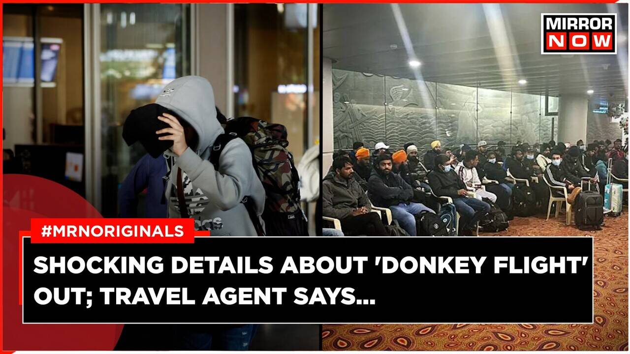 Shocking Details About 'Donkey Flight' Out; Travel Agent Says ...