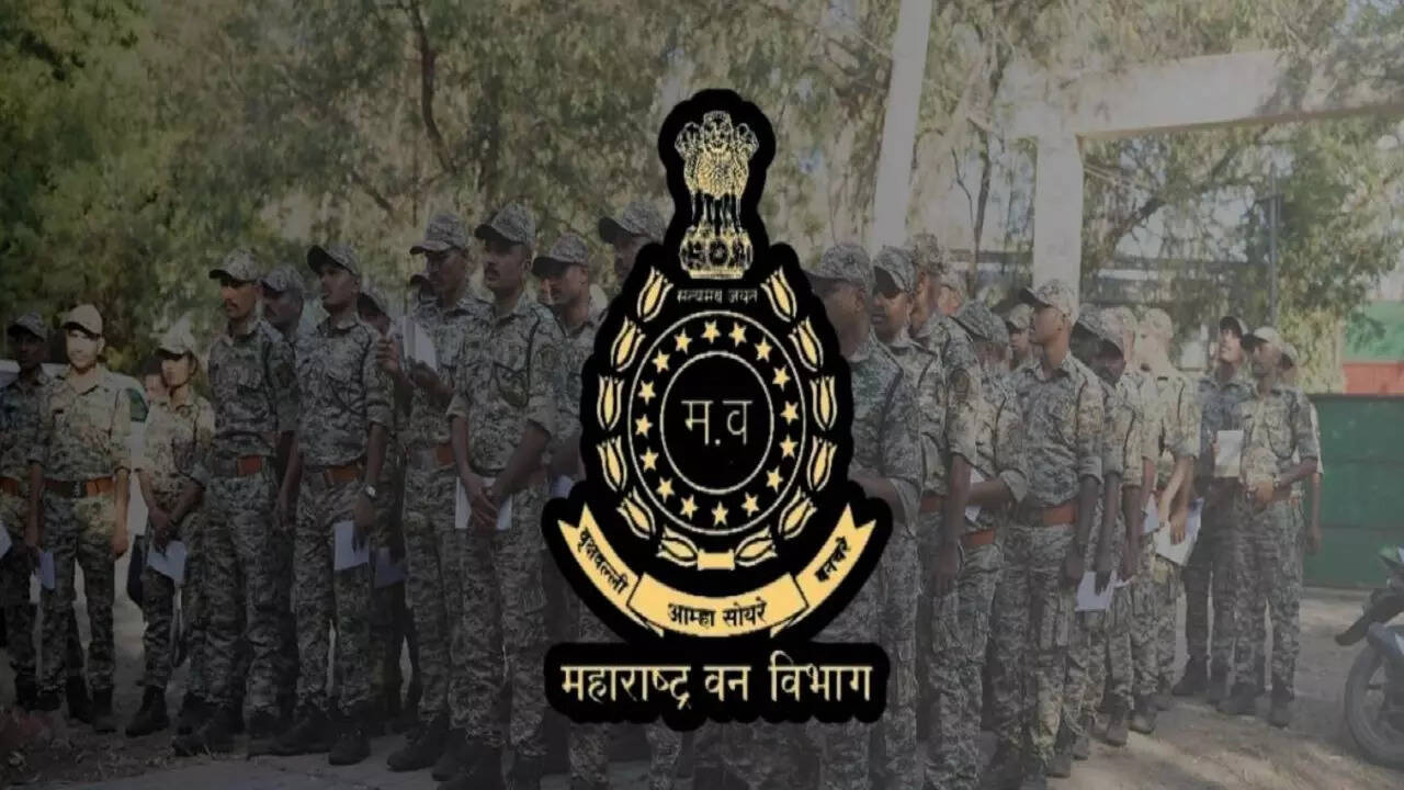 government jobs 1256 recruitment of forest guards in maharashtra ...