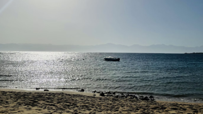 Why Is The Red Sea Called The 'Red Sea'? | Explainers News, Times Now