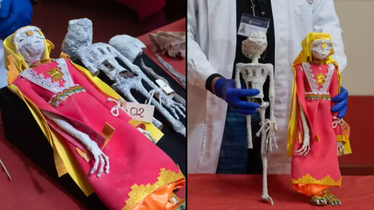 Bizarre Mystery Solved: Truth Behind Peru's Non-Human Alien Mummies ...