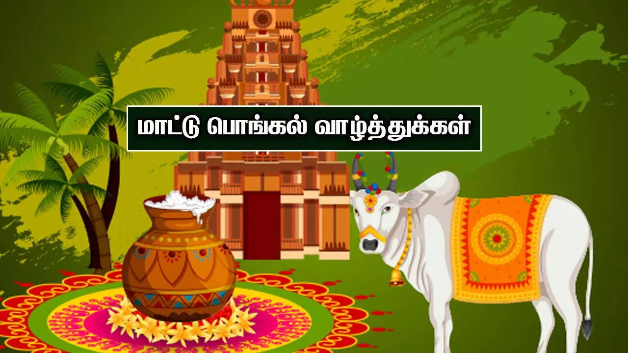 Mattu Pongal Wishes in Tamil : மாட்டு பொங்கல் வாழ்த்து செய்தியை ...
