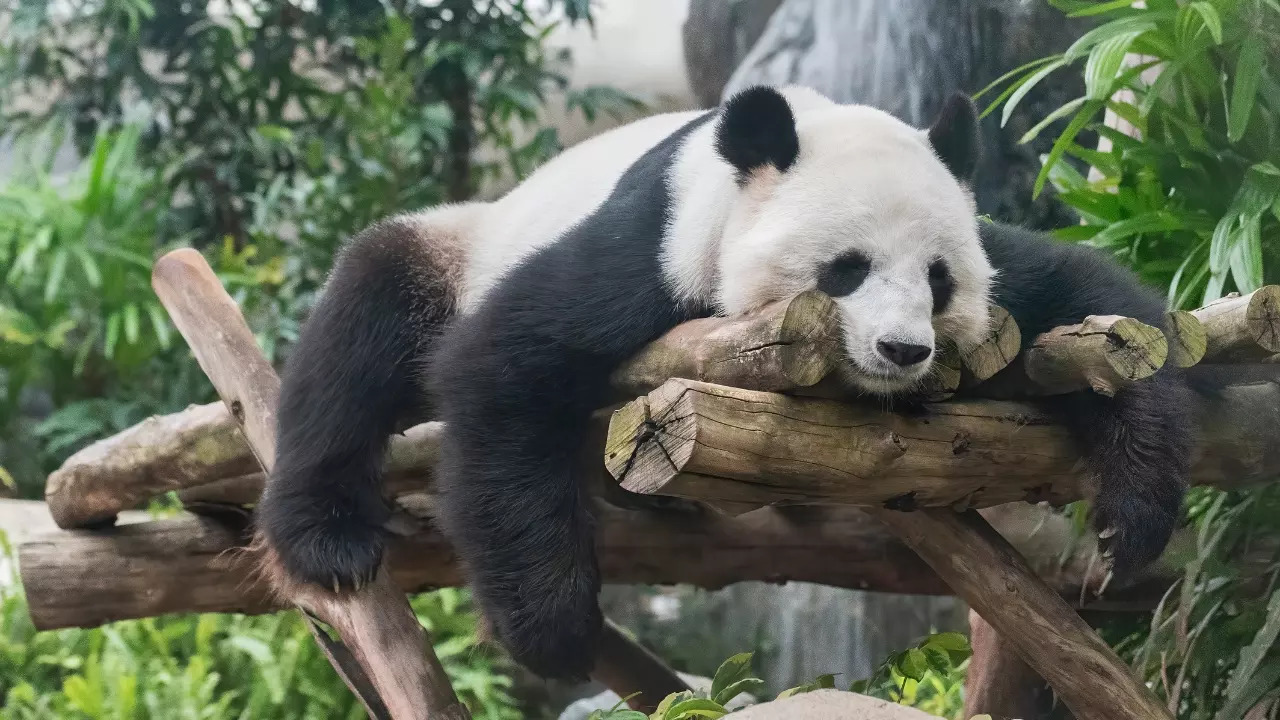 National Nothing Day 2024: Your Guide to Doing Nothing on January 16 ...
