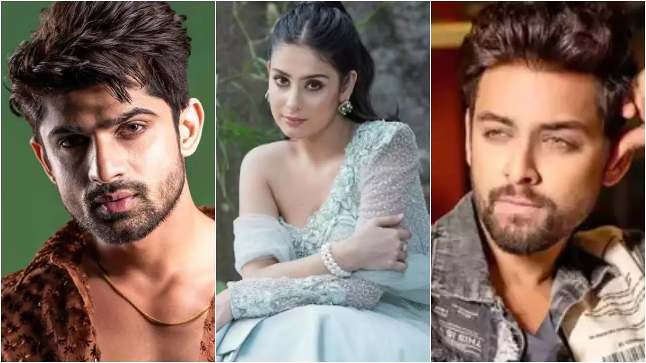 Samarth Jurel: Bigg Boss 17's Samarth Jurel Reveals If Abhishek Kumar ...