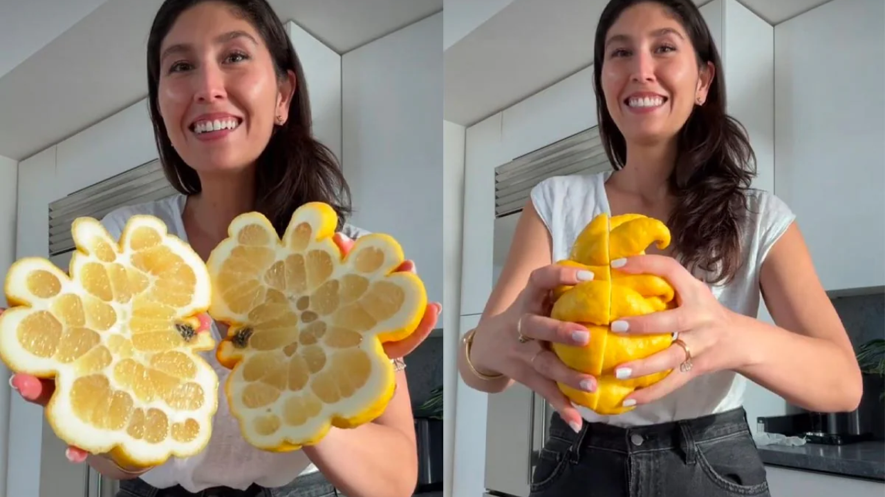 Viral Video: Giant Lemon Amasses 25 Million Views, , Leaves Internet ...