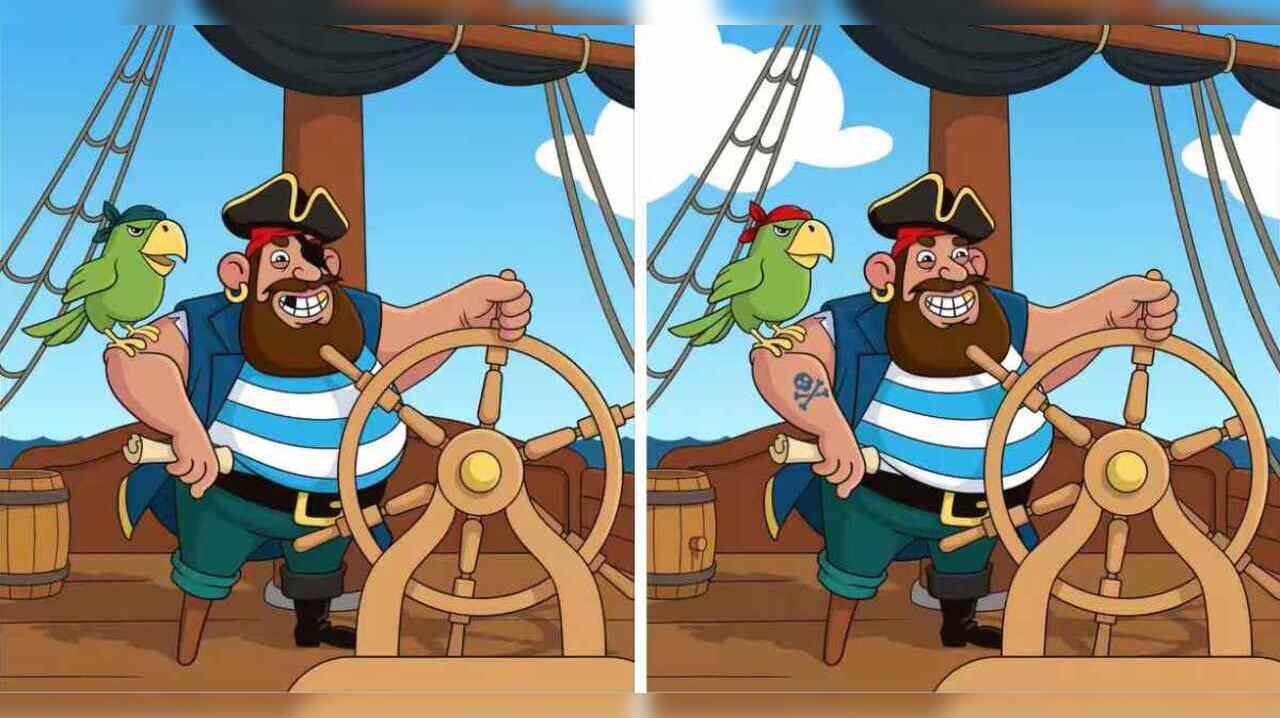 Puzzle: Find The 10 Difference Between These Pirate and Parrot Pictures ...