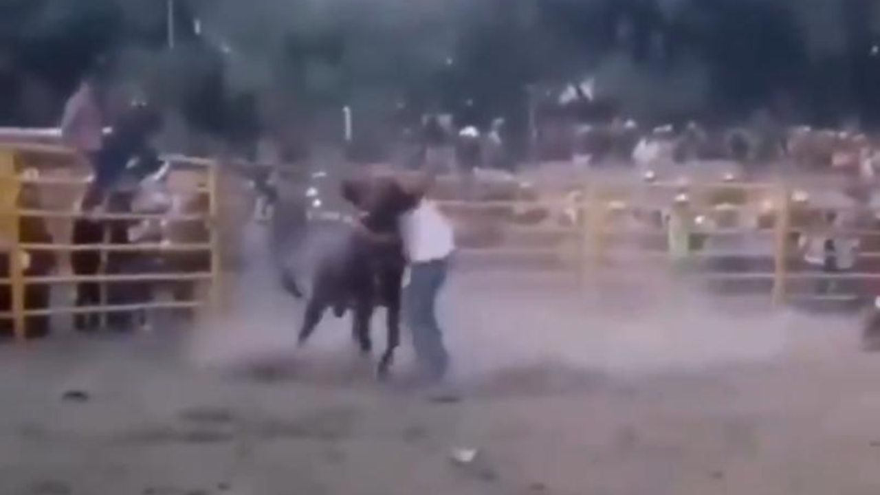 Taking Down a Bull for This Man is a Cakewalk: Internet is Shocked to ...