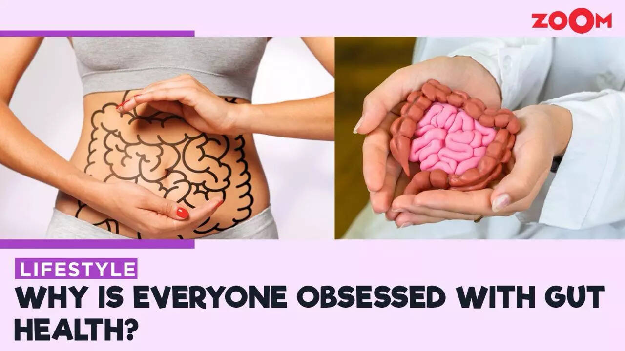Why is everyone obsessed with gut health | Times Now