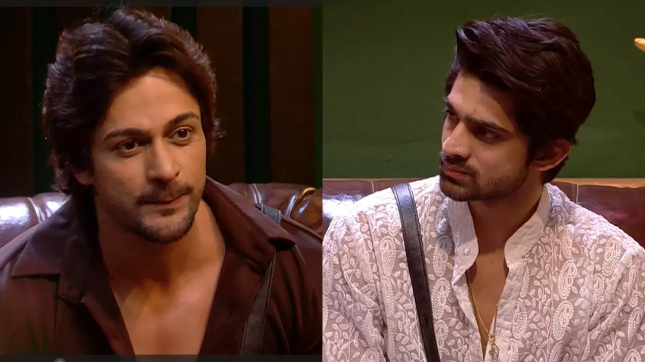 Bigg Boss 17: Shalin Bhanot Says 'Abhishek Kumar Ke Mental Health Ka ...