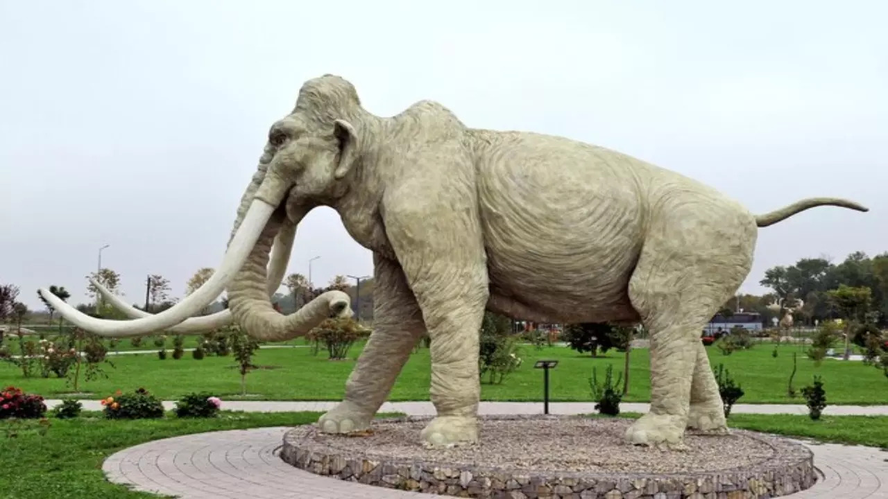 When and How Did Mammoths Go Extinct | Explainers News, Times Now