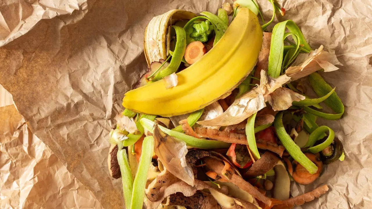 Ways In Which You Can Recycle Kitchen Scraps | Home & Garden News ...
