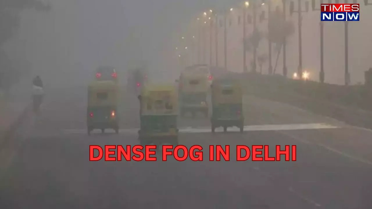 Delhi Fog: Thick Fog Shrouds Delhi, Visibility Drops To Zero In Some ...