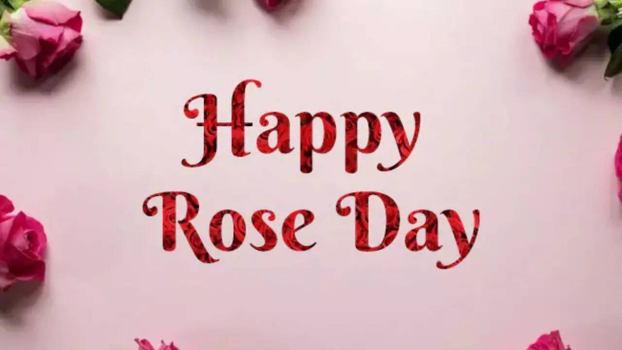 what is the reason of celebrating rose day 2024 on 7 february know the ...