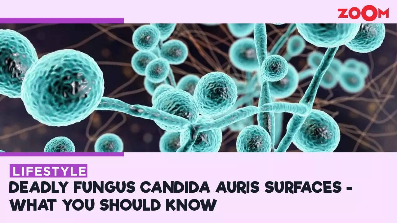 Health Alert: Deadly fungus Candida Auris surfaces - What you should ...