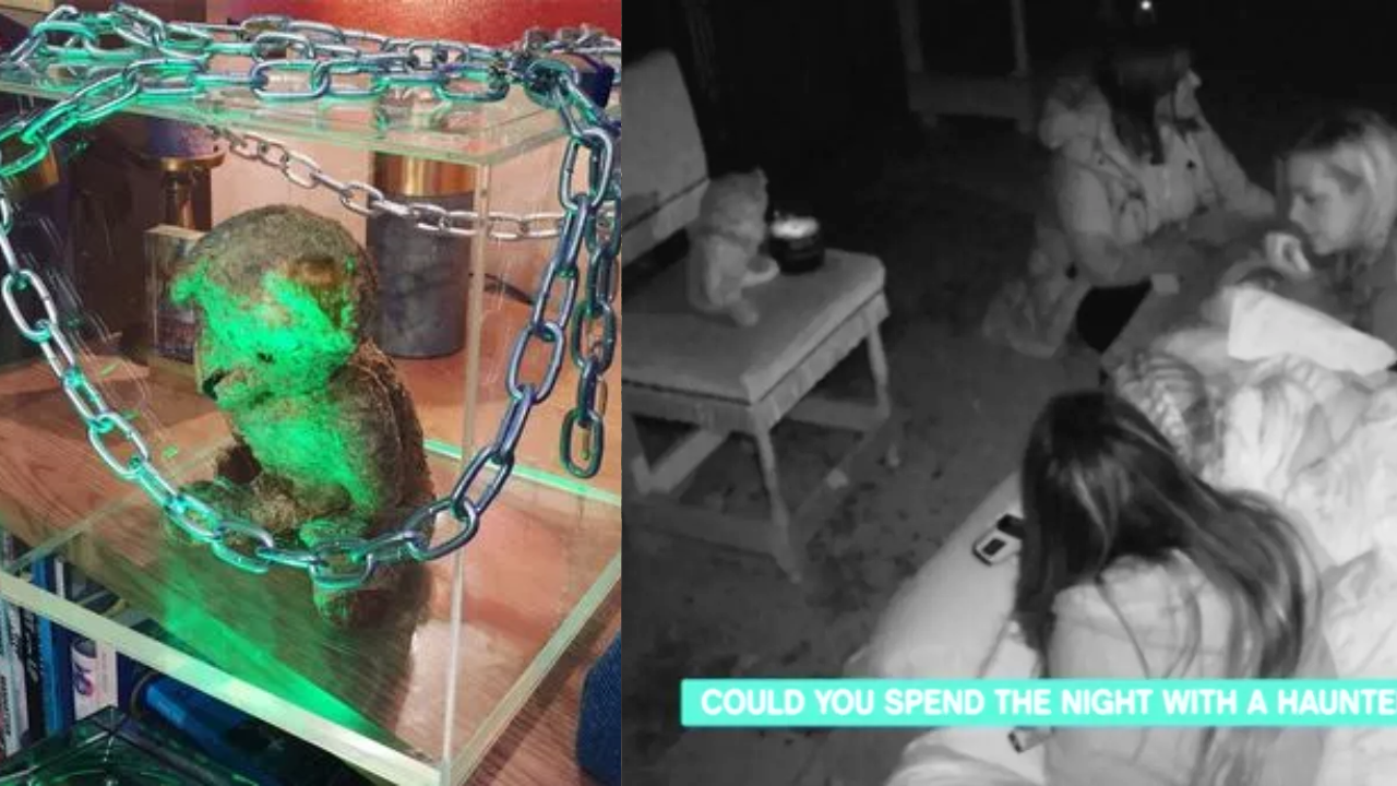 Teddy Day: The Time a Journalist Spent a Night With Haunted Teddy Bear Mr. Ted & Ended Up In ...