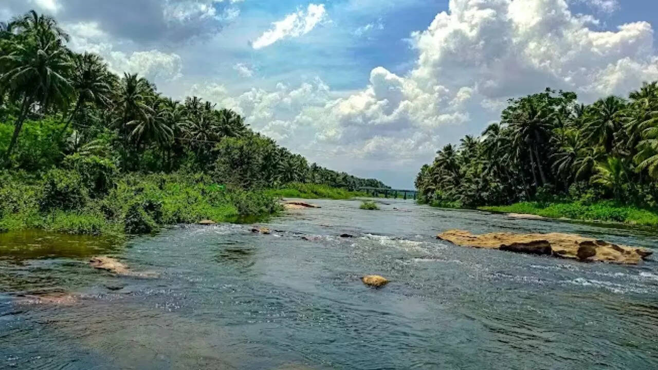 Horror in Bhavani river near Vana bathrakaliamman temple Dont believe ...