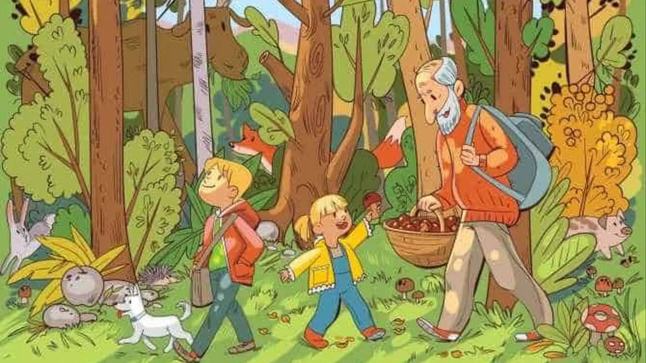 Optical Illusion: Find the hidden apple in the forest in 5 seconds | 5 ...