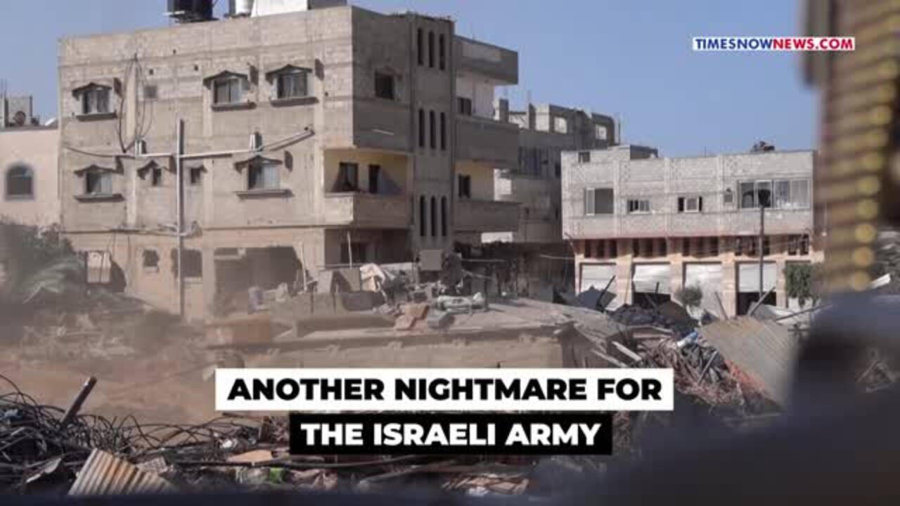 Israel's New Enemy: Stray Dogs Attack IDF Soldiers In Gaza | INPA Says ...