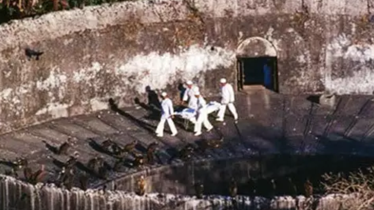 पारसी समाज मृतदेह जाळतही नाही आणि पुरतही नाही, अशी लावली जाते विल्हेवाट ...