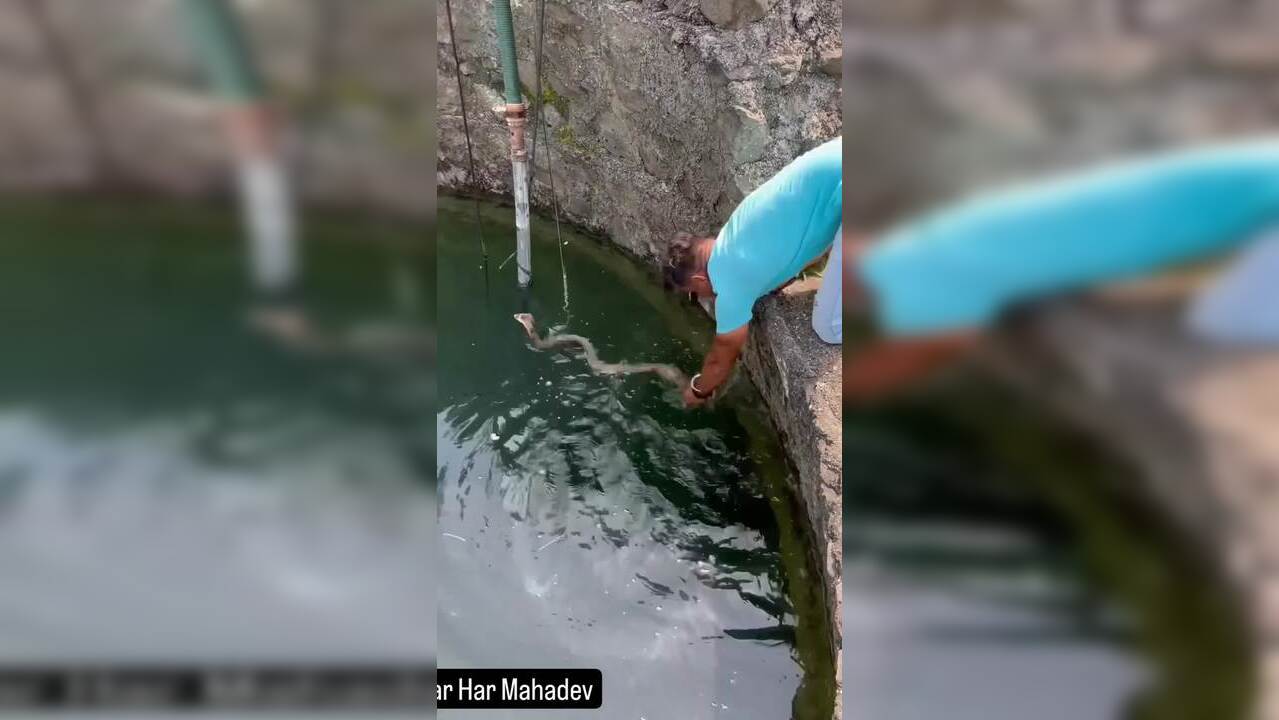 Viral Video: Man Grabs King Cobra Out of Well Barehanded, Watch Jaw ...