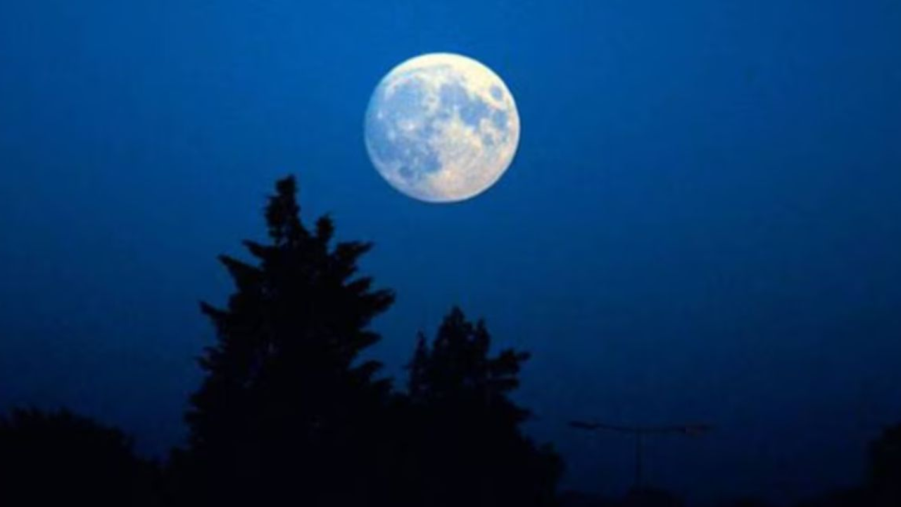 magh purnima 2024 donate these things according to your zodiac sign on ...