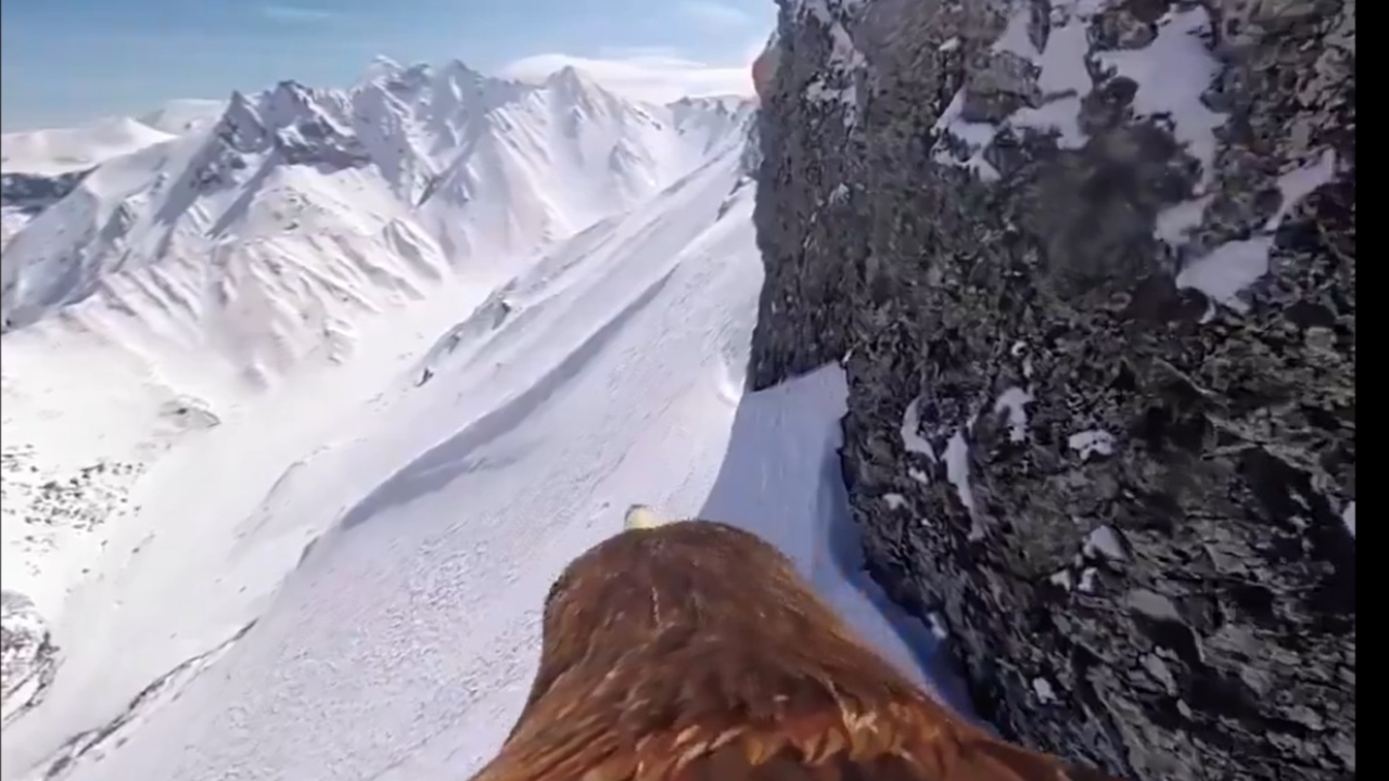 Watch | Eagle-Eye View: Mesmerizing Snowy Mountain Panorama Captured ...
