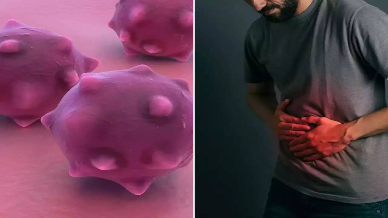 'Pancreatitis' या आजाराने ग्रस्त होते ऋतुराज सिंग, जाणून घ्या त्याची ...