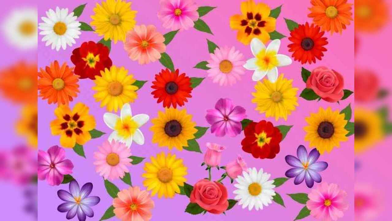 Optical Illusion Puzzle: Find The Odd Flower In This Image Within 10 ...