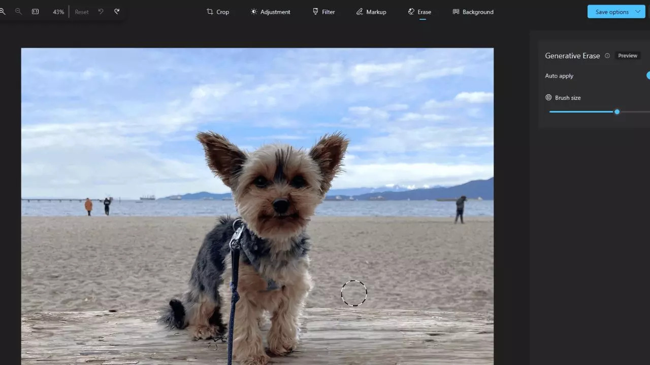 Microsoft Photos App: Microsoft Windows Photos App Gets AI-Powered ...