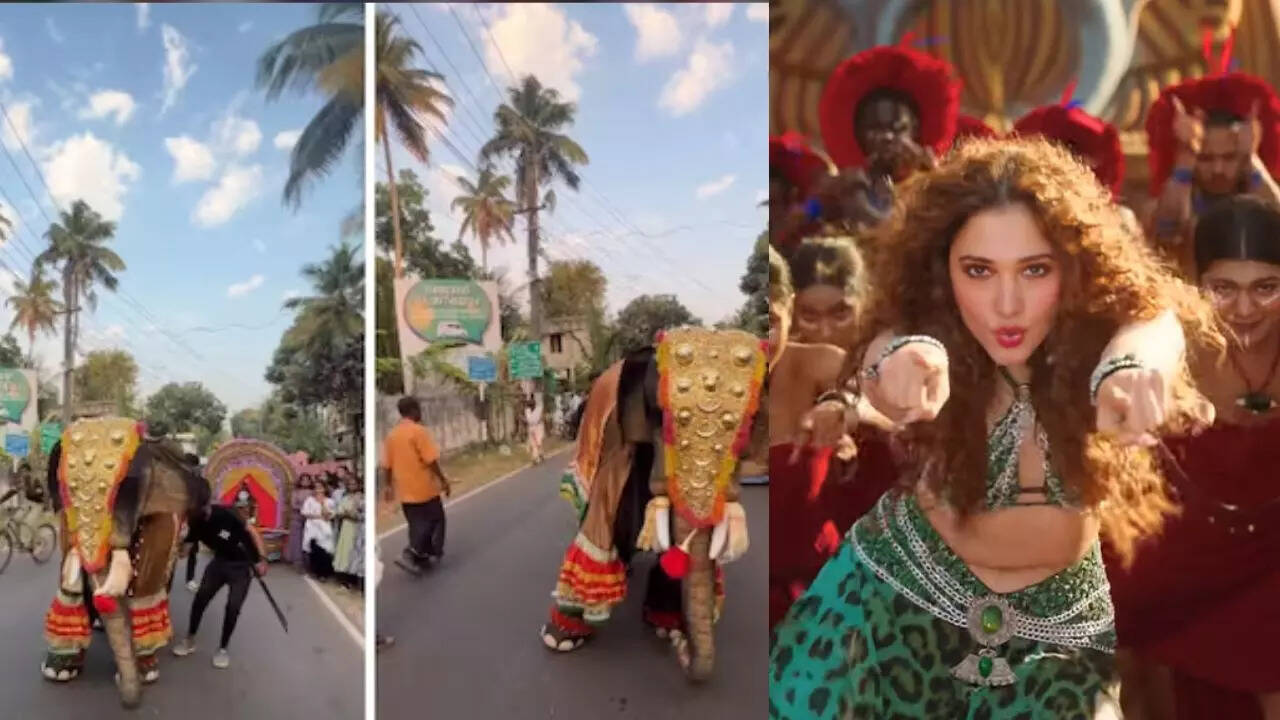 தமன்னாவுக்கே டஃப் கொடுத்த குட்டி யானை..! ‘காவாலா’ ஸ்டெப்ஸ்.. வைரல் ...