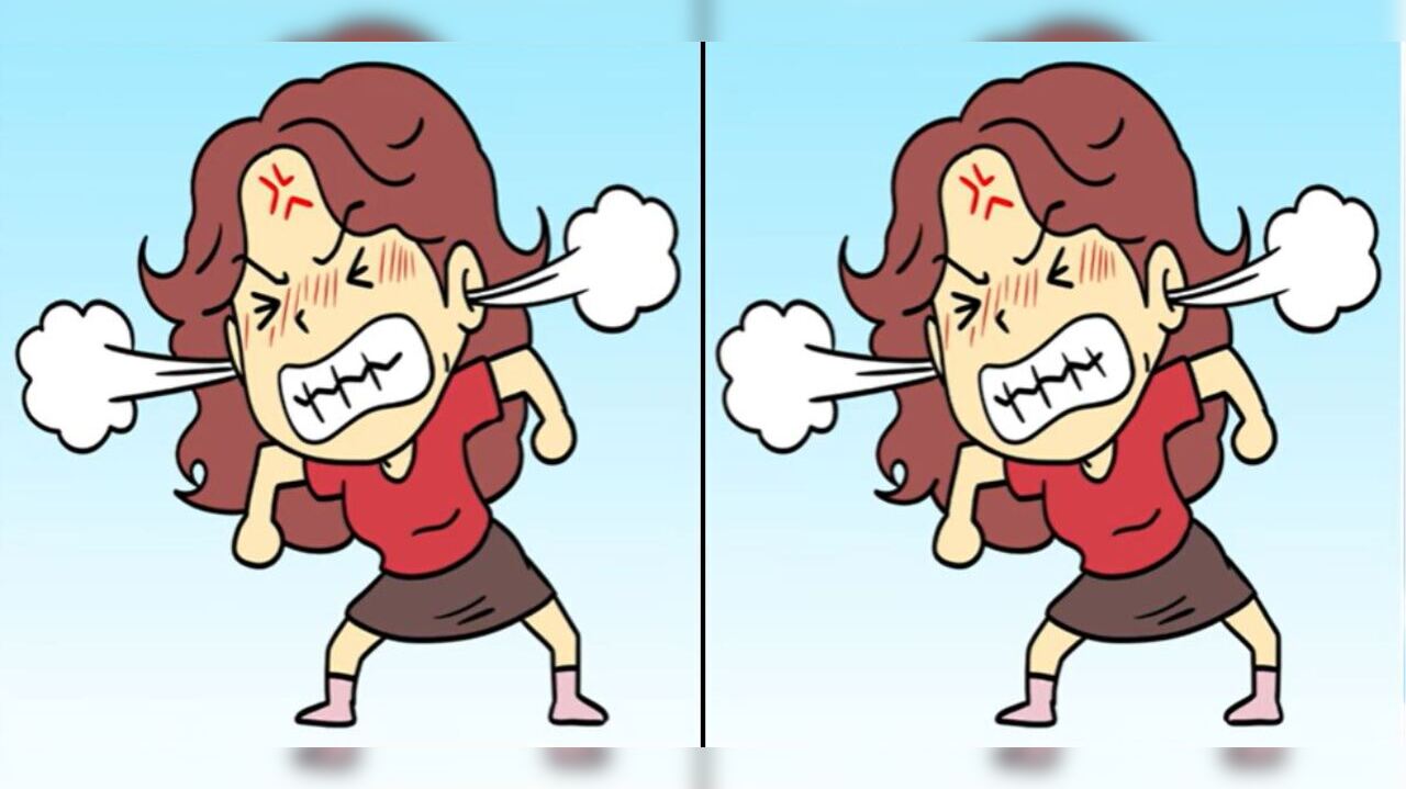 Angry Woman Puzzle: Puzzle: Find The 3 Differences Between These Images ...