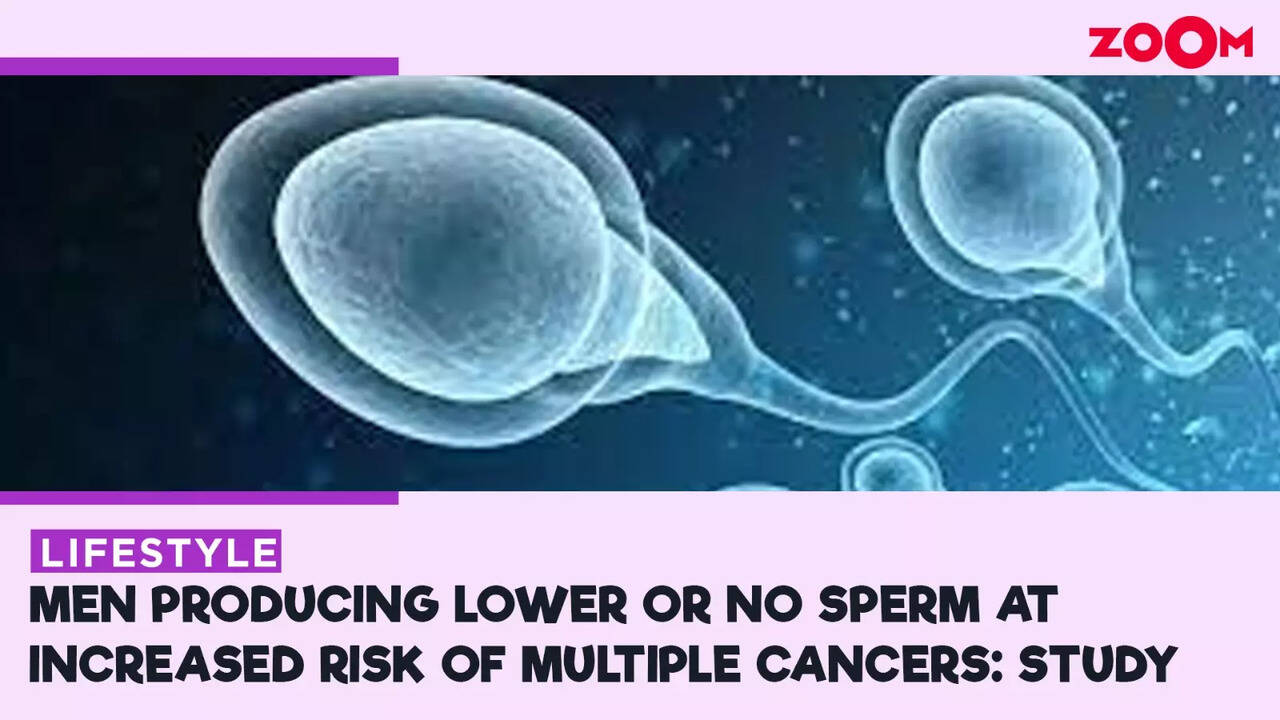 Men producing lower or no sperm at increased risk of multiple cancers ...