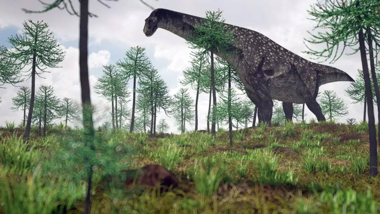 70 million-year-old giant dinosaur skeleton found connected from skull ...