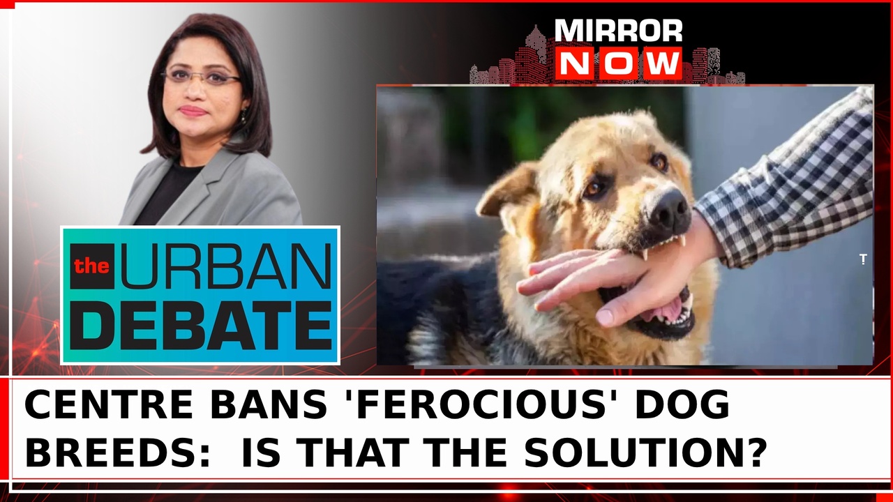 Centre Acts to Ban 'Ferocious' Dog Breeds | Can Ban Solve Dog 'Biting ...