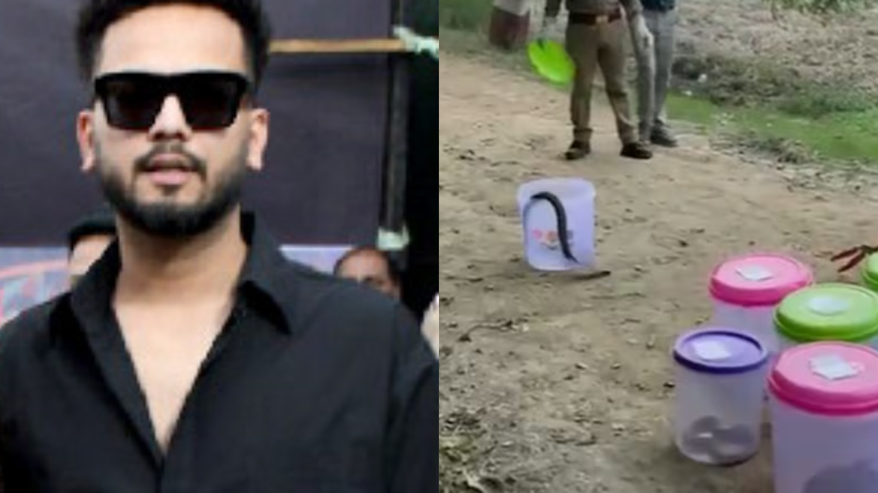 Noida Police Arrest Elvish Yadav In Snake Venom Case; Internet Reacts ...