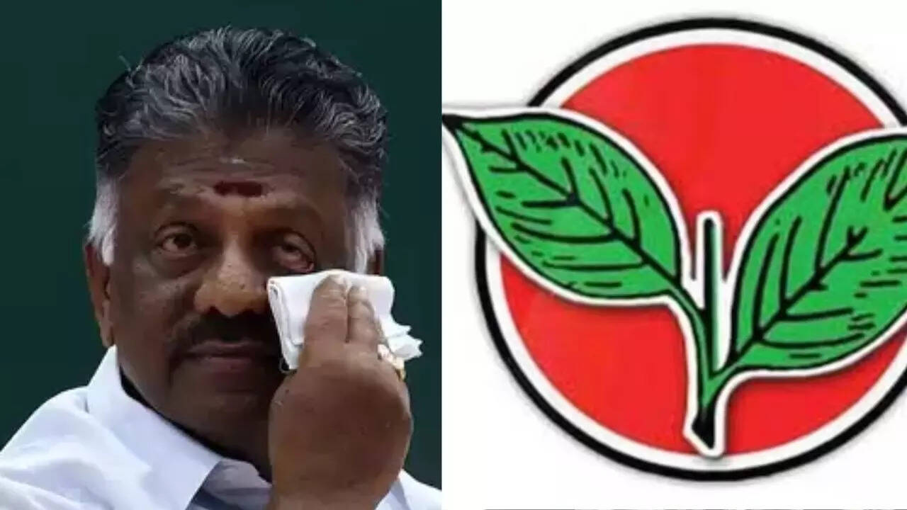 அதிமுக கொடி, இரட்டை இலை சின்னம்... ஓபிஎஸ்-க்கு நிரந்தர தடை விதித்த ...