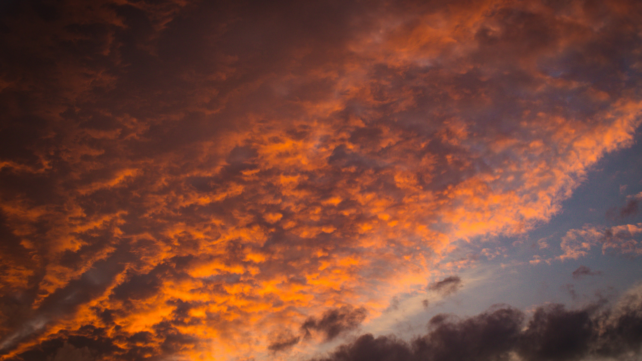 Fire Weather Watch Meaning: Fire Weather Watch Issued In THESE Parts Of ...