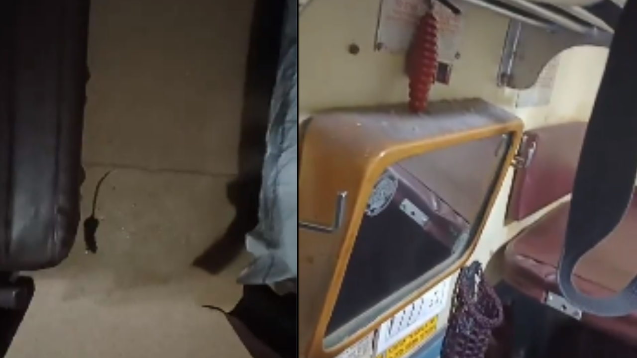 Caught On Camera: Rat Spotted Roaming Inside Train; Railways Responds ...