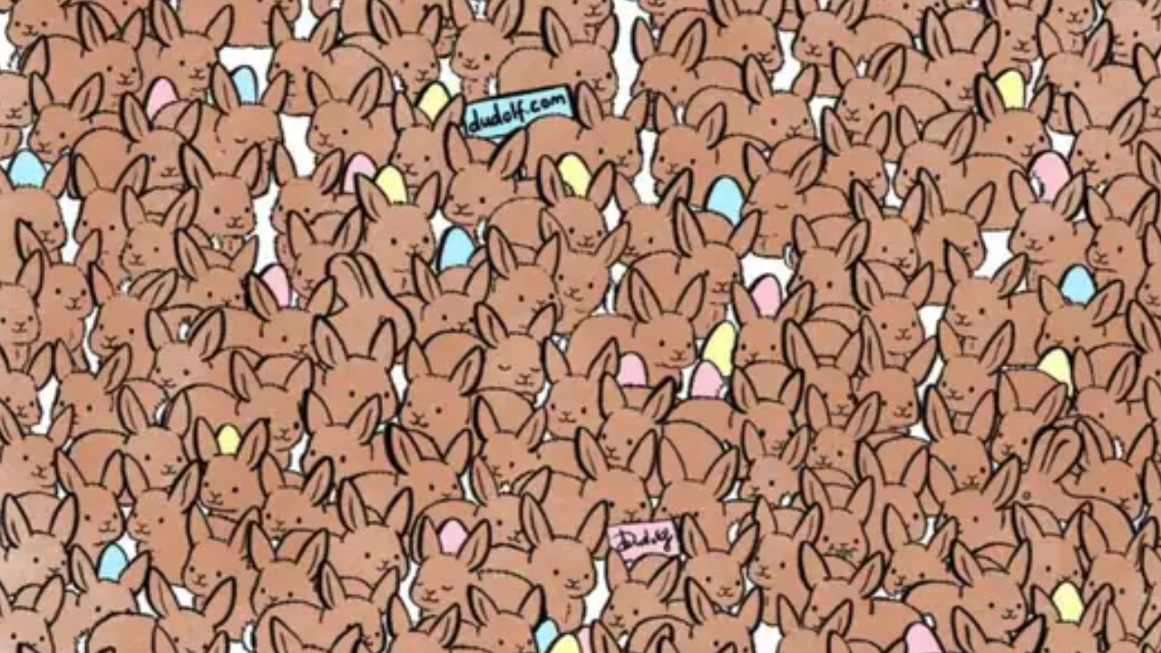 Brain Teaser: Can you Find The Hidden Chocolate Rabbits in 5 seconds ...