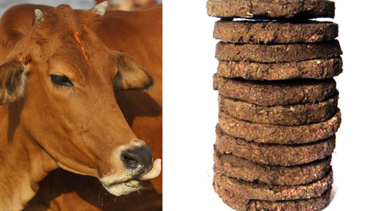 'Cow Urine Bath, Dung Sunscreen...': South Sudan Tribe's Unique Bathing and Skincare Rituals ...