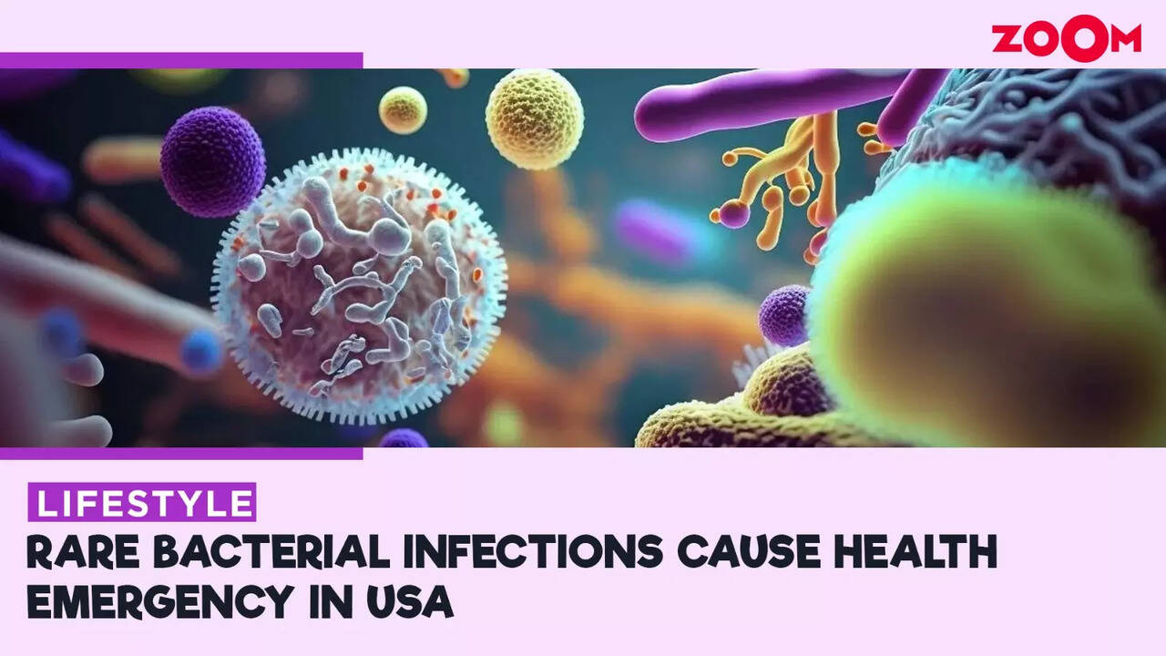 Meningococcal Disease: Rare bacterial infections cause health emergency ...
