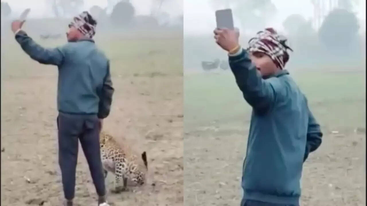 Viral Video: Man Takes Selfie With Loose Leopard on a Farm | Times Now