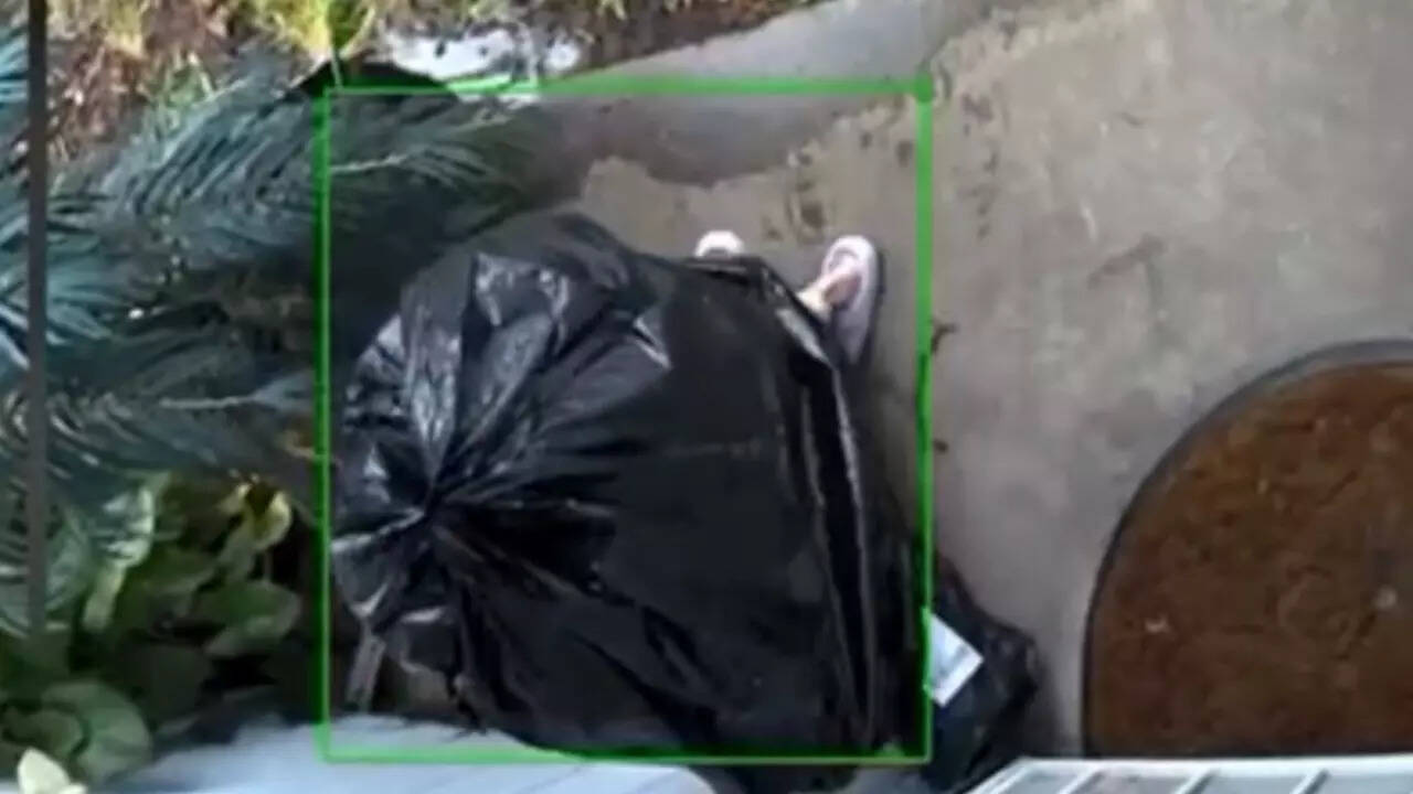Caught on Camera: Thief Disguised as Garbage Bag Steals Package | Times Now