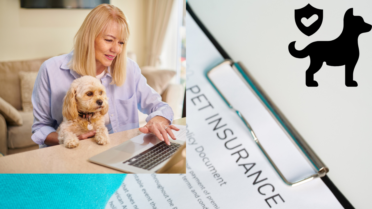 Pet Insurance: How Does It Works? What All Does It Covers? Know ...