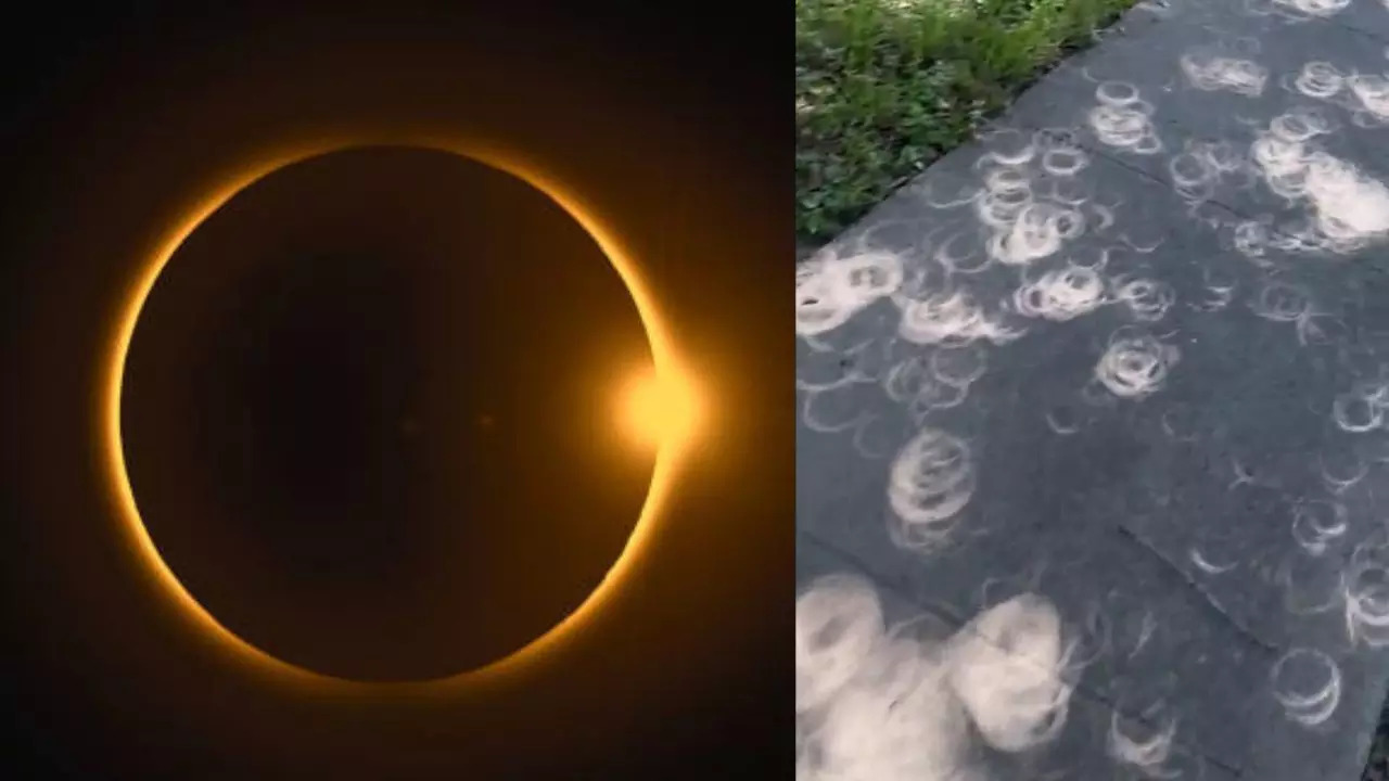 Solar Eclipse Spectacle: How Tree Leaves Transform into Mini Eclipse ...