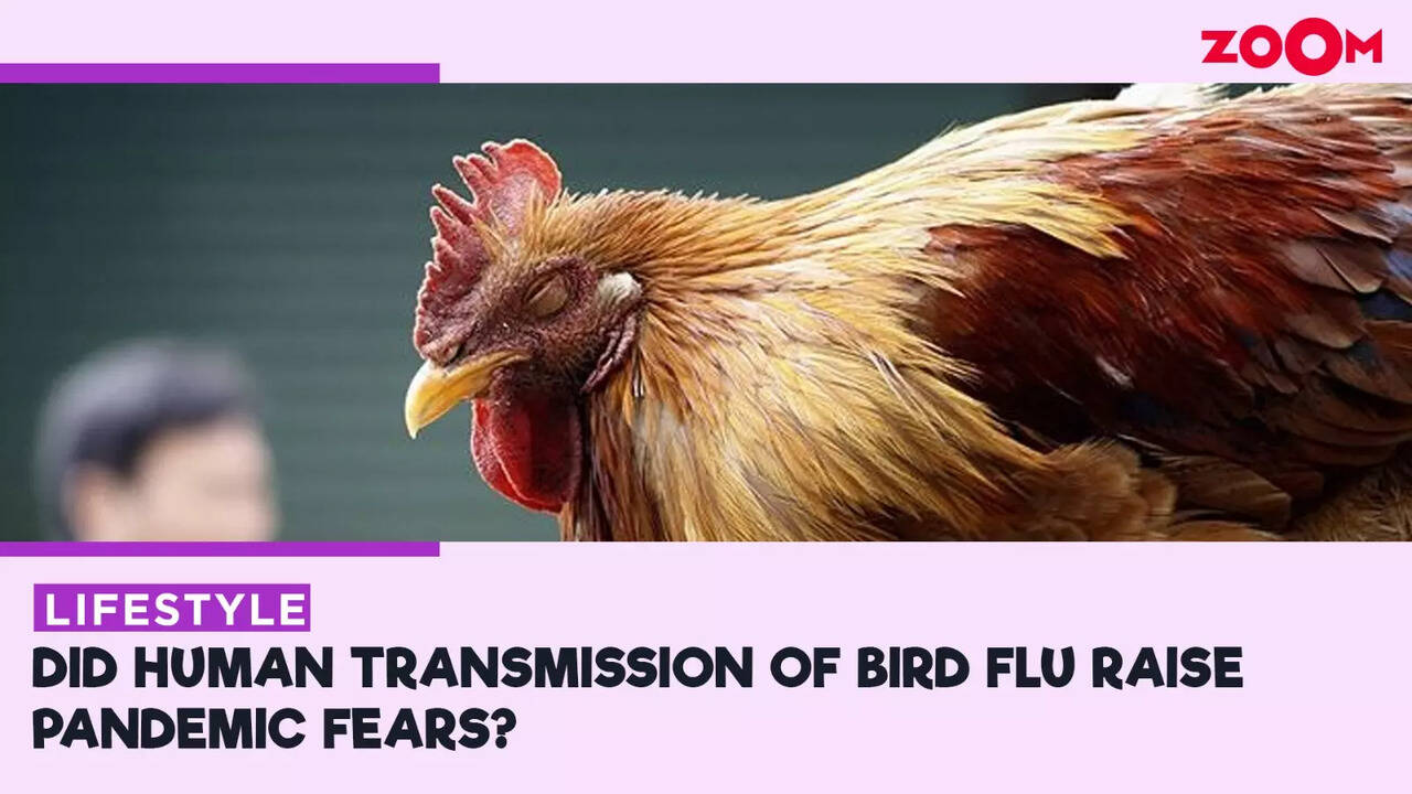 Did human transmission of bird flu raise pandemic fears? | Times Now