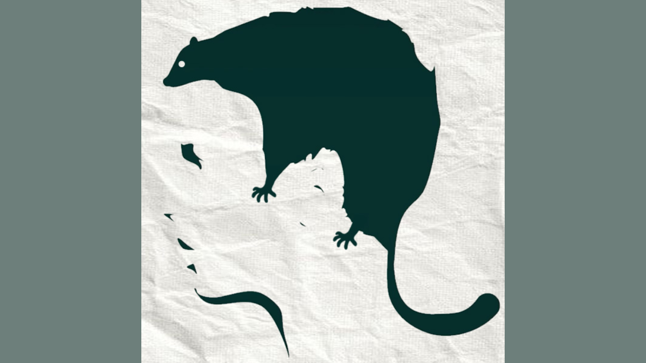 Optical Illusion: This Image Reveals If You Are A Powerful Person ...